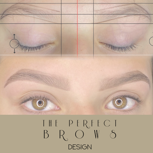 The Perfect Brows - Desing - Diana Marcela Marin Botero | Hotmart