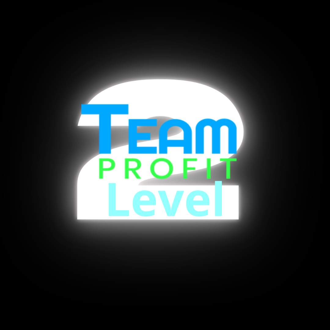 Team Profit Level 2