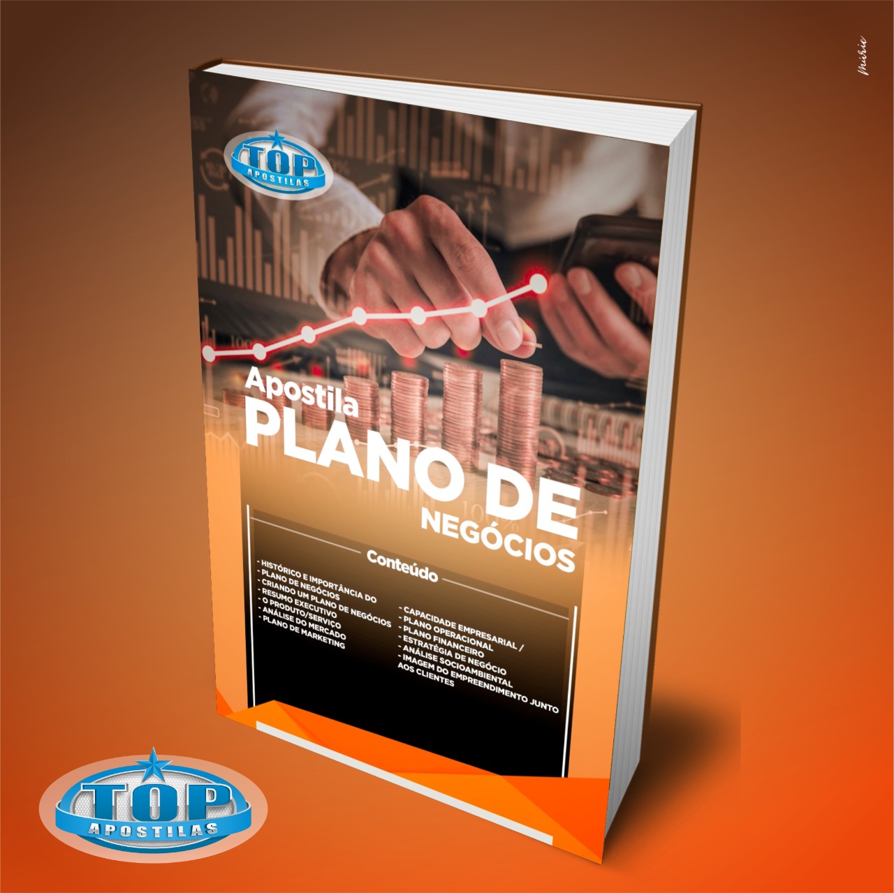 Ebook Planos de Negócios