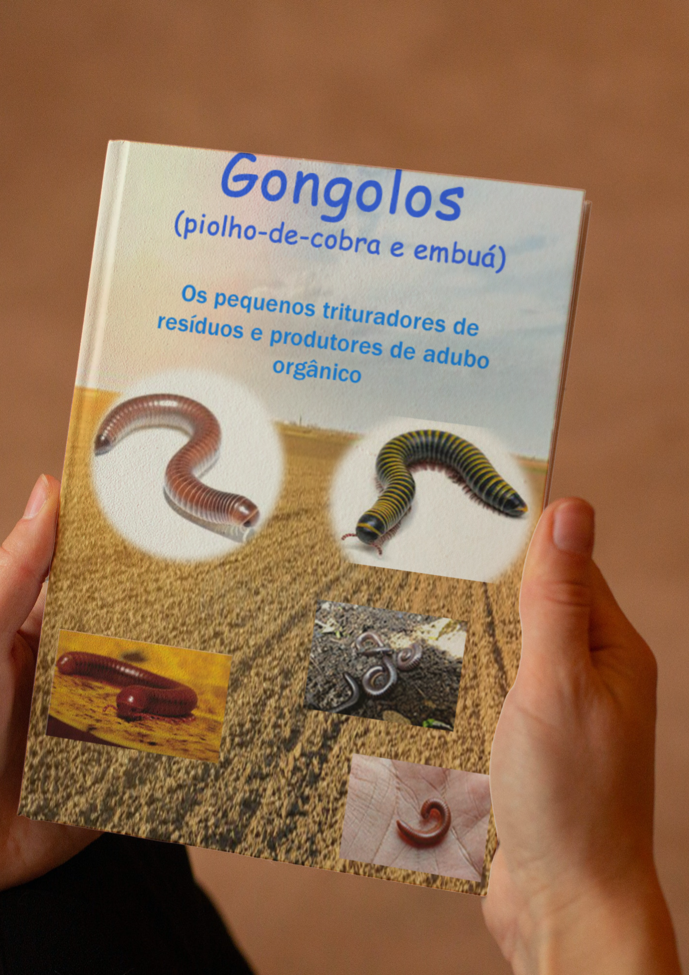 GONGOLO E GONGOCOMPOSTAGEM