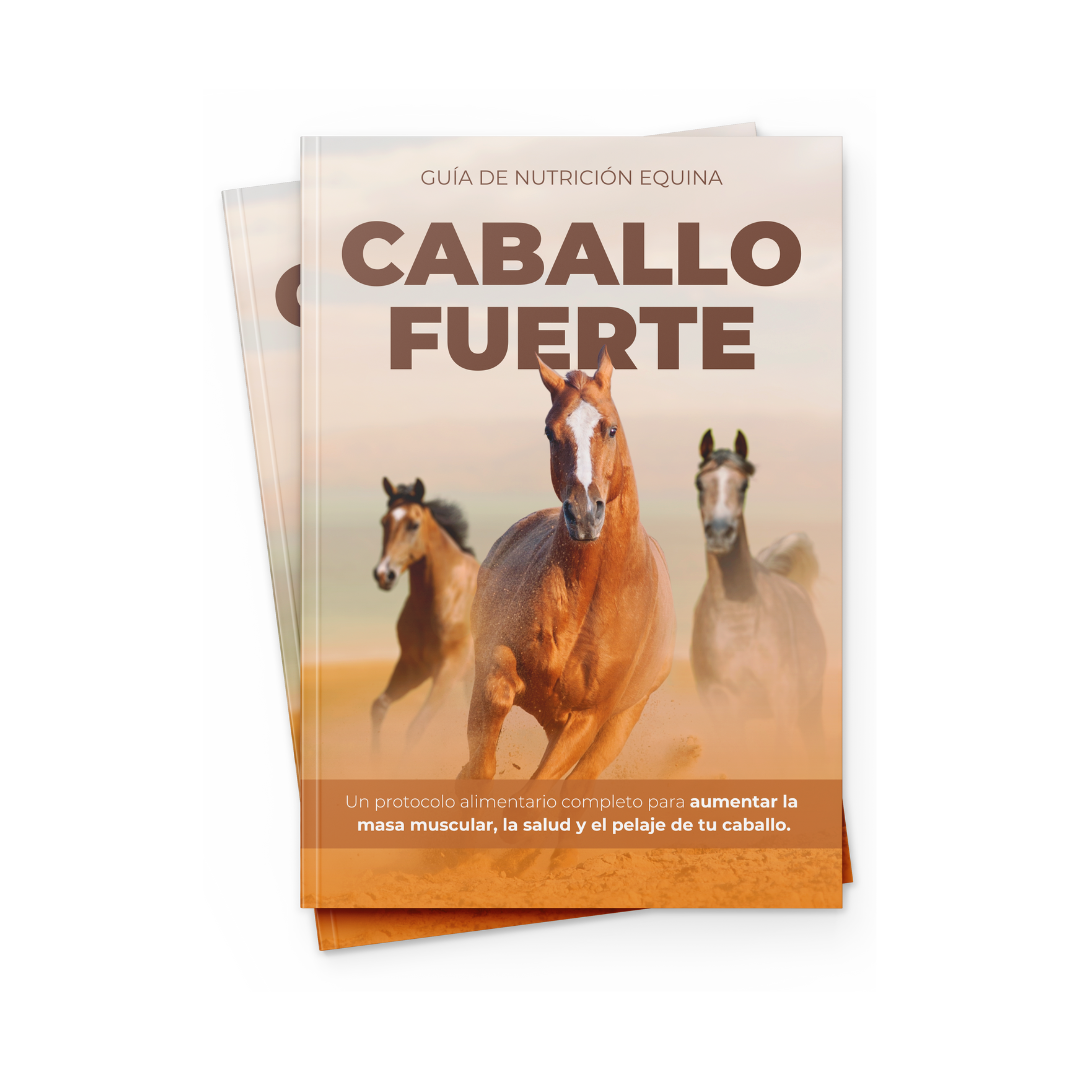 Guía Caballo Fuerte