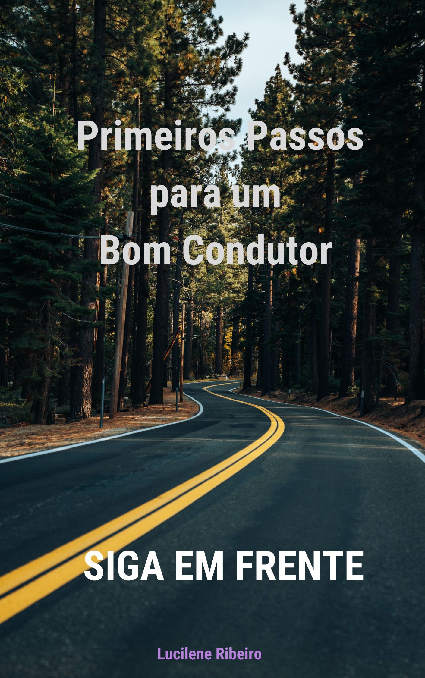 O BOM CONDUTOR - Lucilene Ribeiro | Hotmart