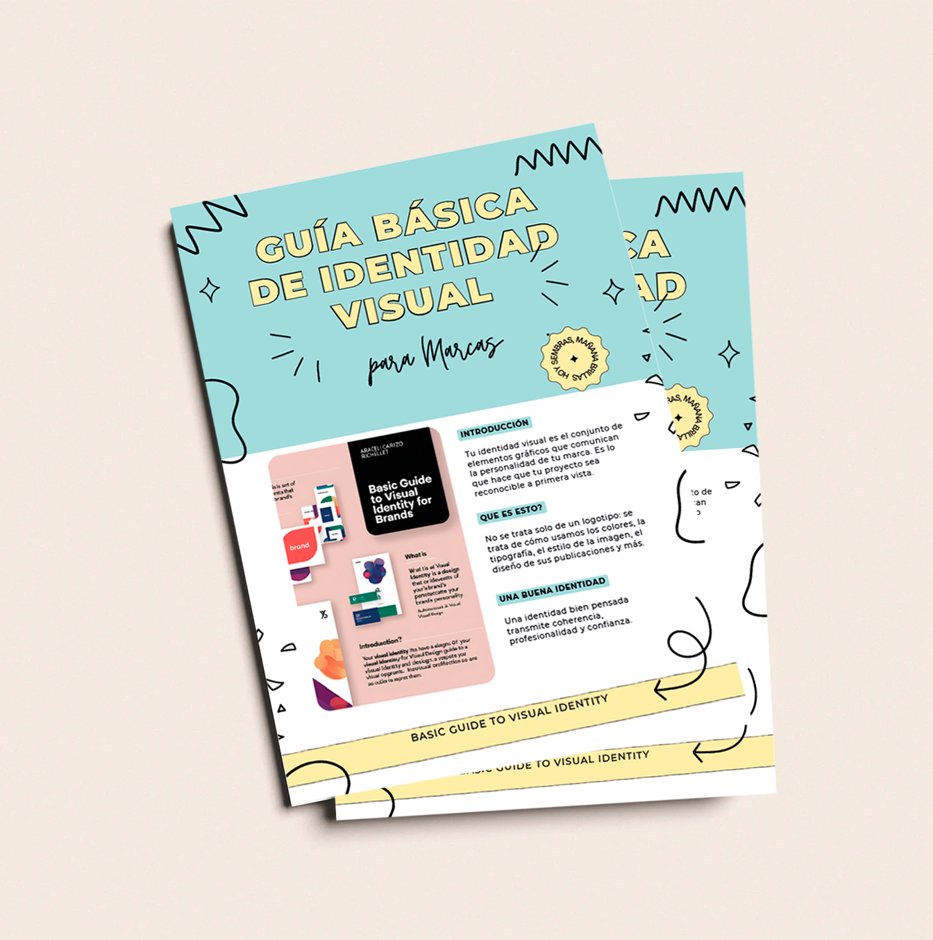 Guía básica de identidad visual - Araceli Carrizo Richelet | Hotmart