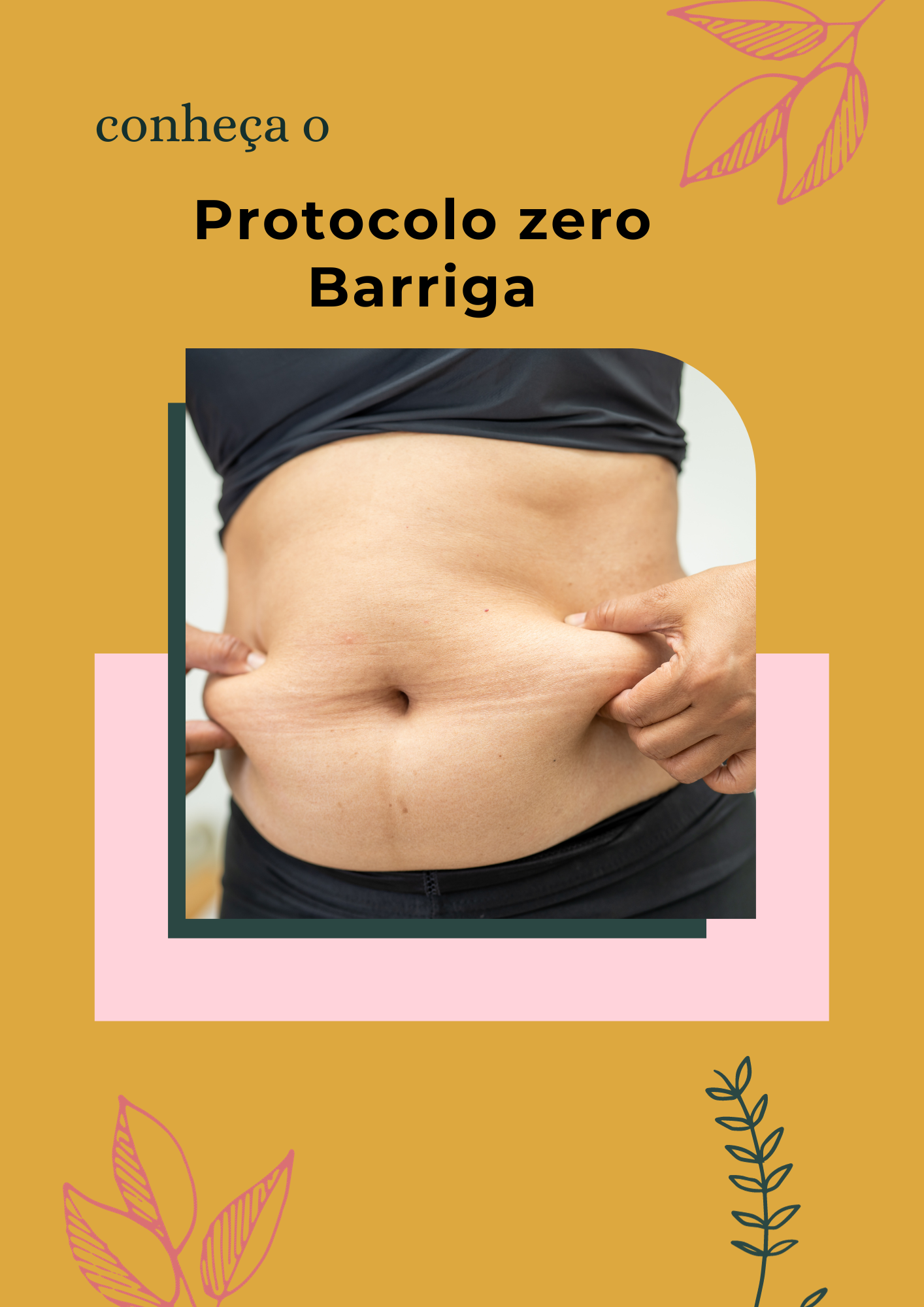 protocolo zero barriga