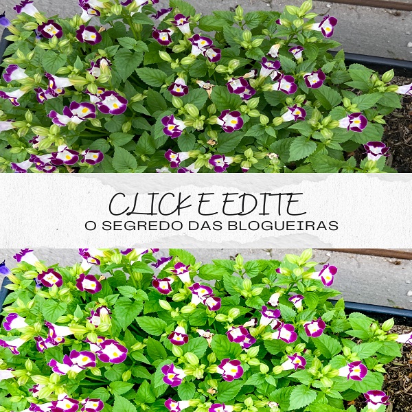 Click e Edite - O Segredo das Blogueiras - Danielle Fernandes do N...