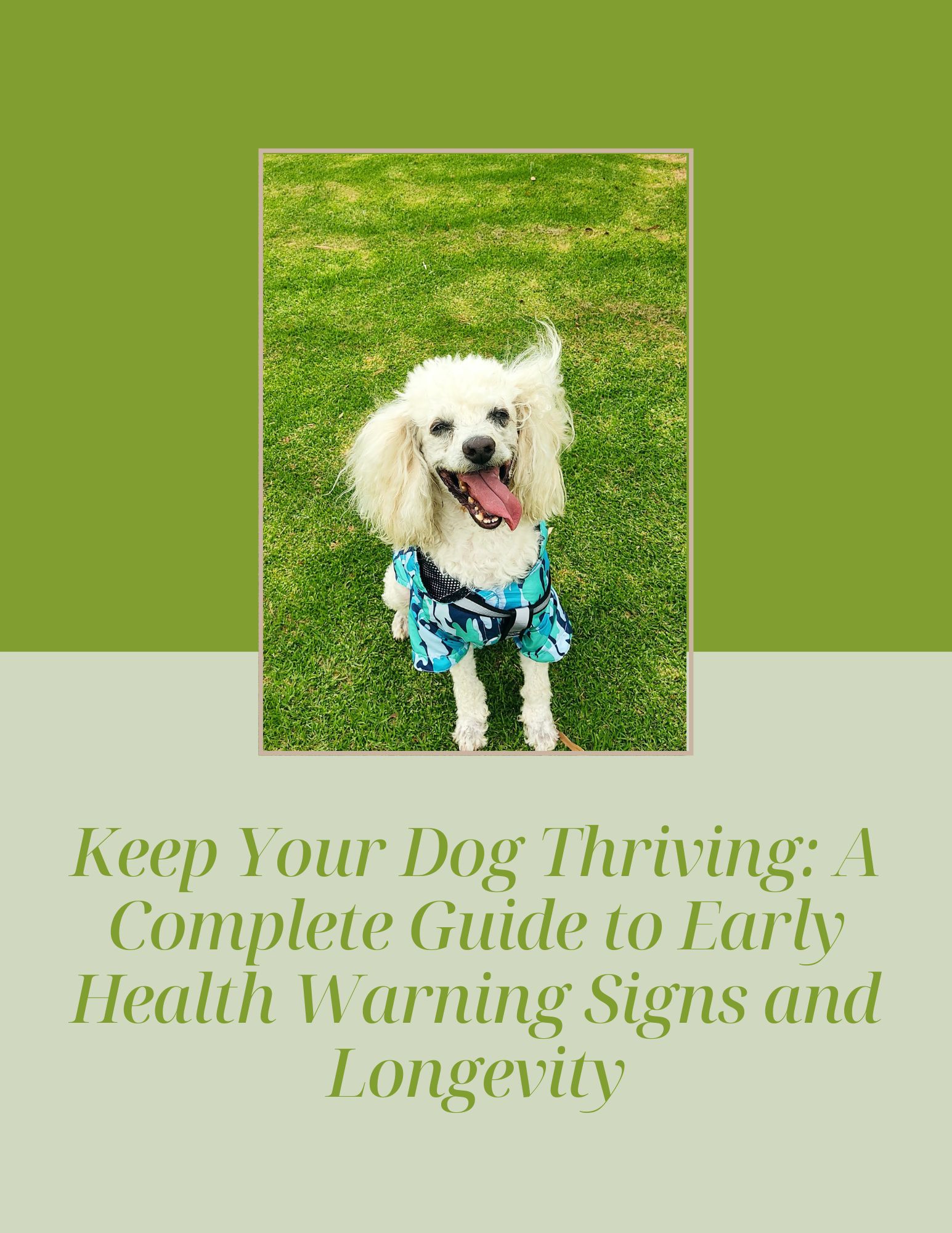 Keep Your Dog Thriving: A Complete Guide to Early Health Warning Signs ...
