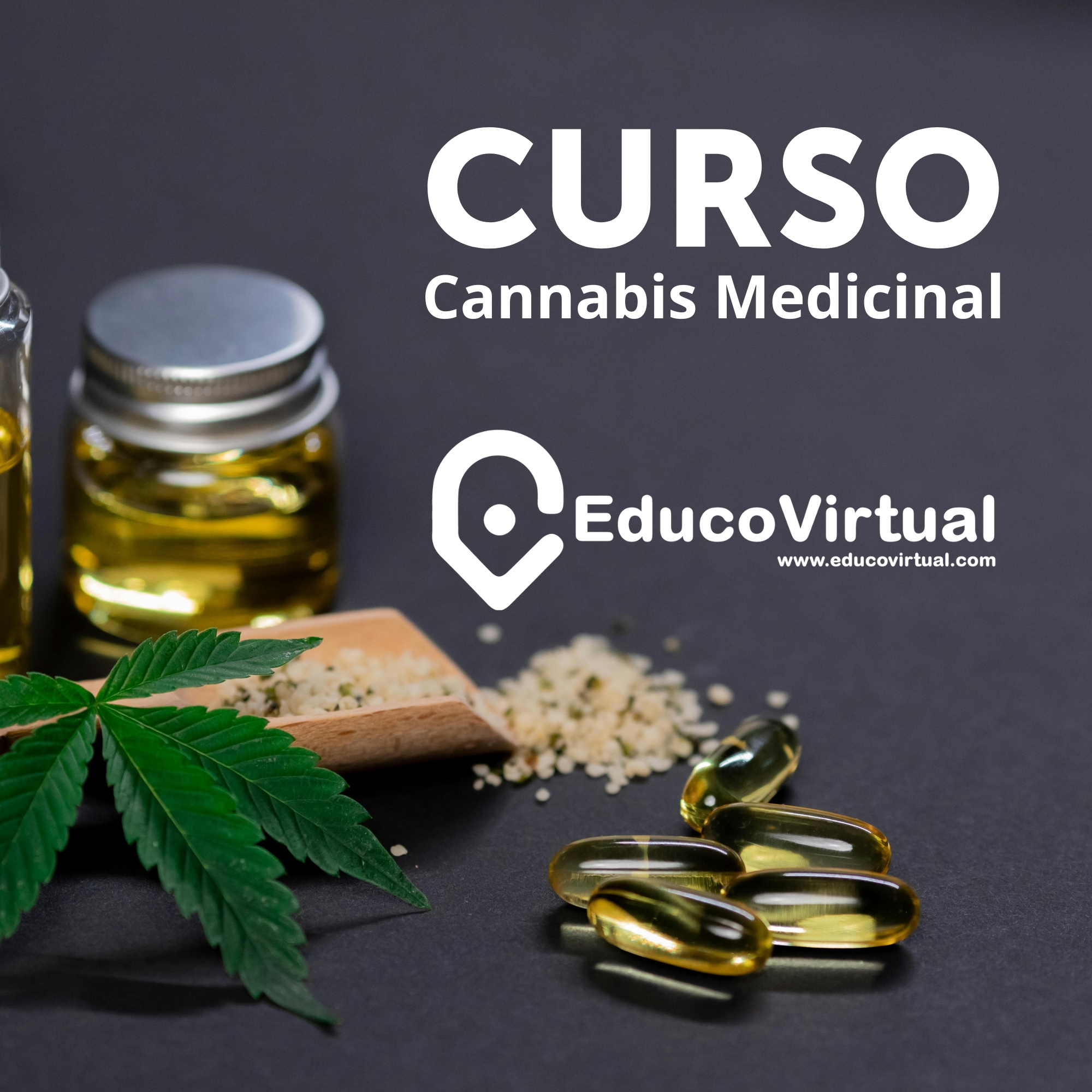 Curso de Cannabis Medicinal: Fundamentos, Aplicaciones Clínicas y M...