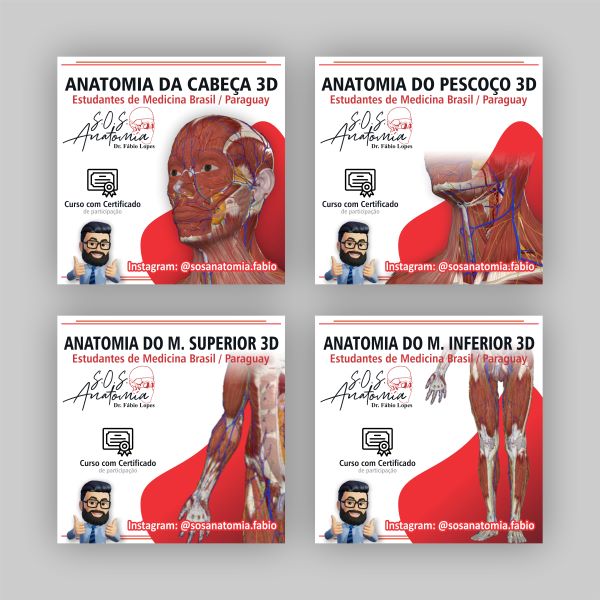 CABEÇA, PESCOÇO, MEMBRO SUPERIOR, MEMBRO INFERIOR E NEUROANATOMIA