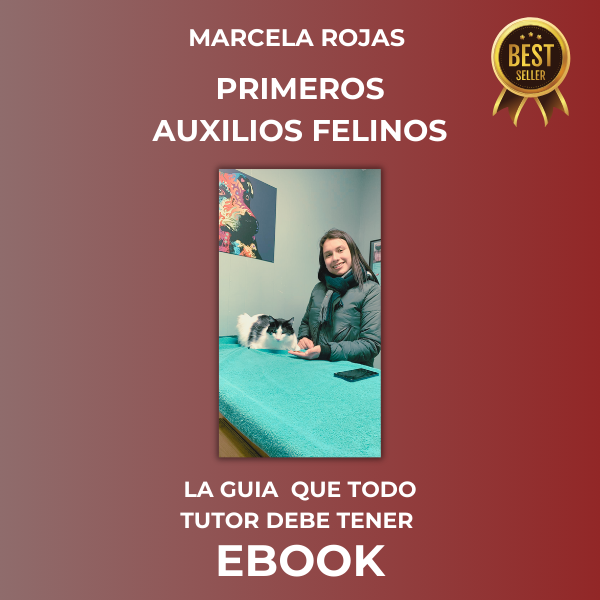 Primeros Auxilios Felinos - Angie Marcela Rojas | Hotmart