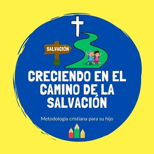 CCS MATERIAL ACTUALIZADO - Anne Nunes | Hotmart