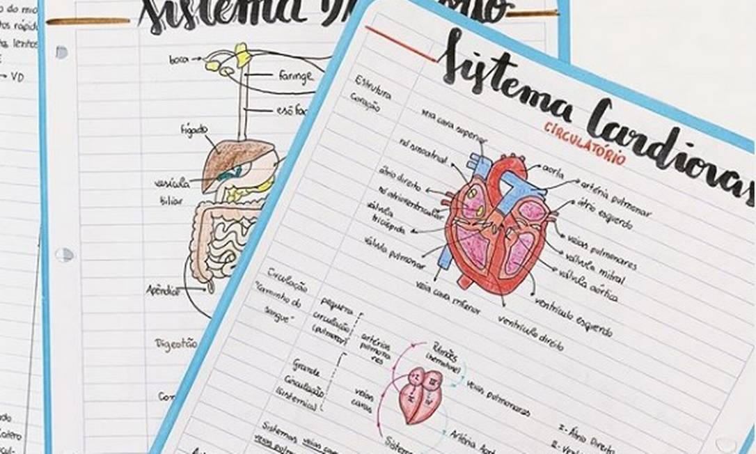 Resumos Medicina Marlon Boldori Hotmart