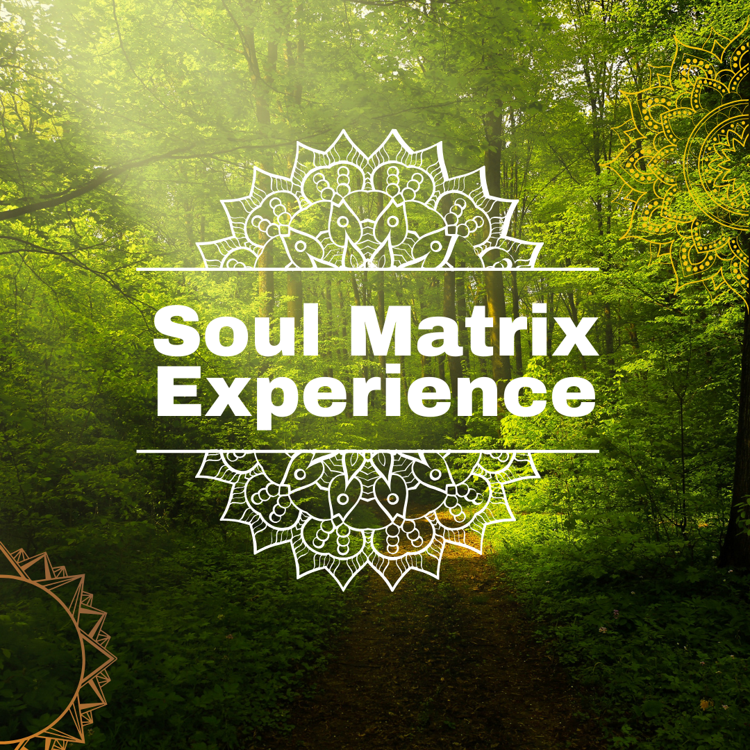 The Soul Matrix Experience