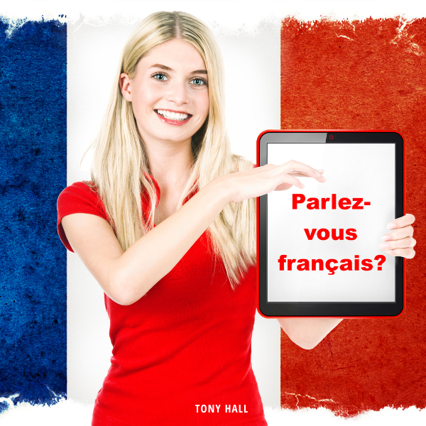 Gramática en Francés - Rodrigo Lagos | Hotmart