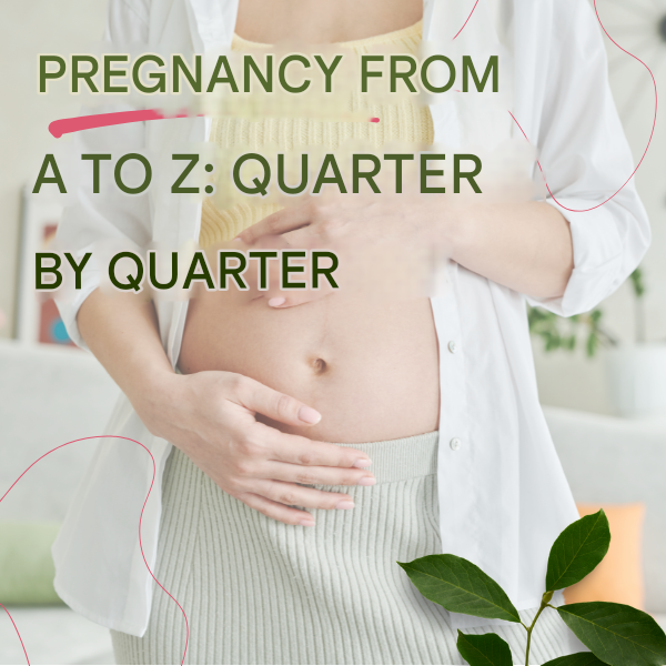 Pregnancy from A to Z: Trimester by Trimester
