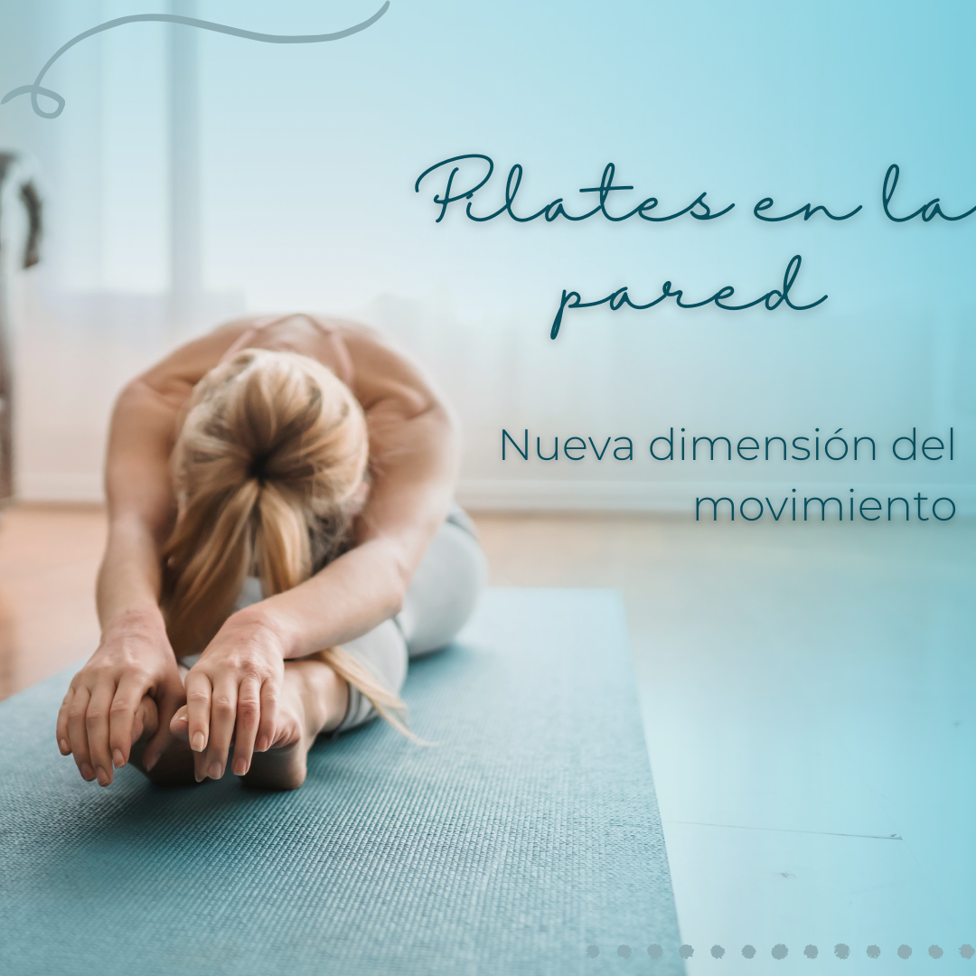 Pilates en 28 Días: Transforma tu Cuerpo y Mente - Lais Mariara Fer...