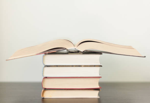 You Belong with Me - Martin Biermann | Hotmart