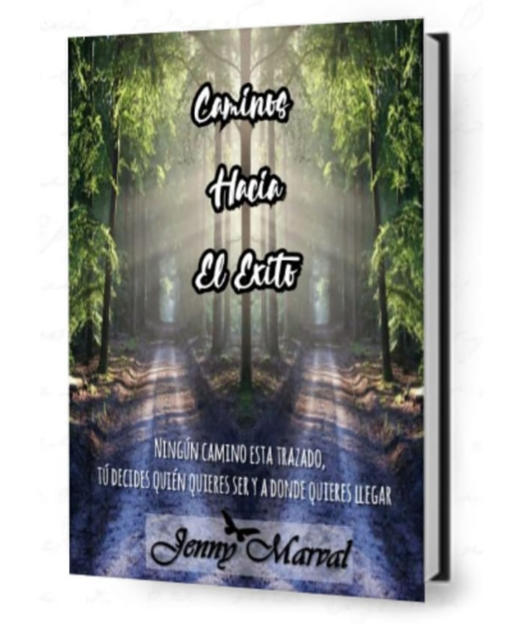 CAMINOS HACIA EL EXITO