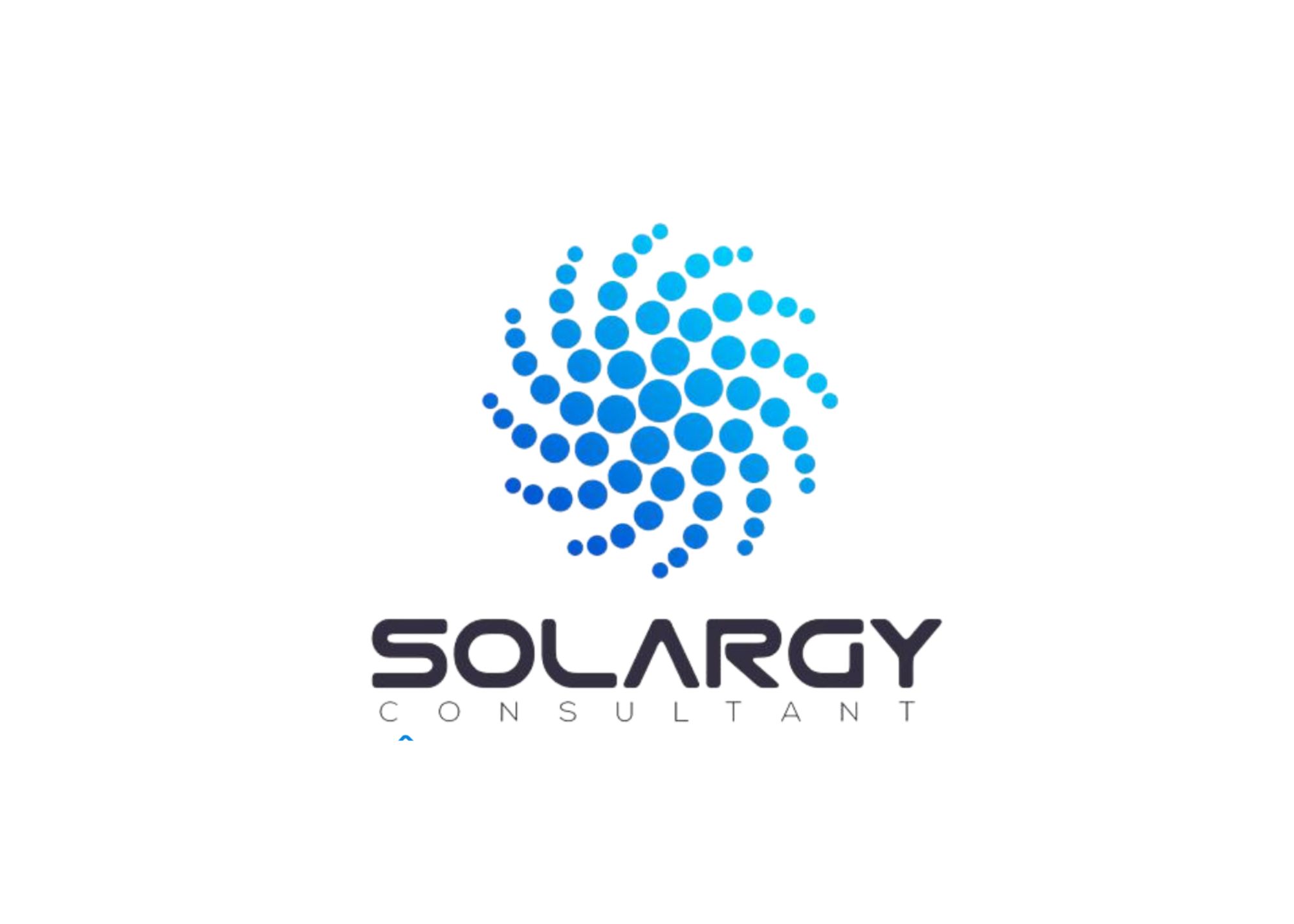 Solargy Vendedor experto de la A a la Z - David Manuel Gonzalez Ram...