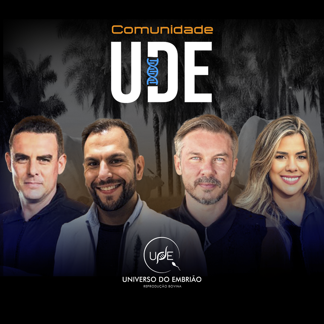 Comunidade UDE