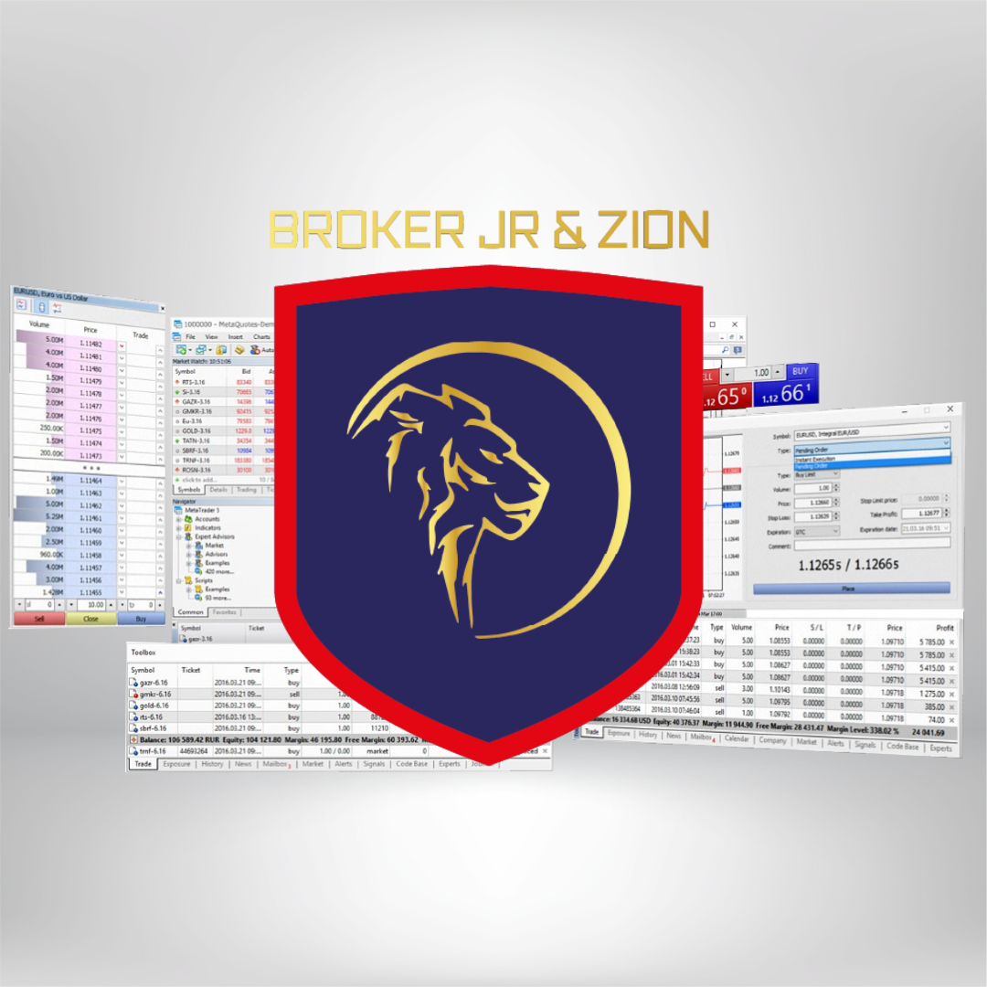 🥈 BROKER JR & ZION: Curso Criptomonedas de 0 a trader. - Amerketin...
