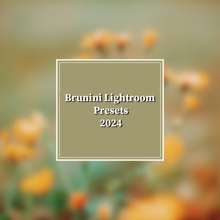 Presets Brunini 2024
