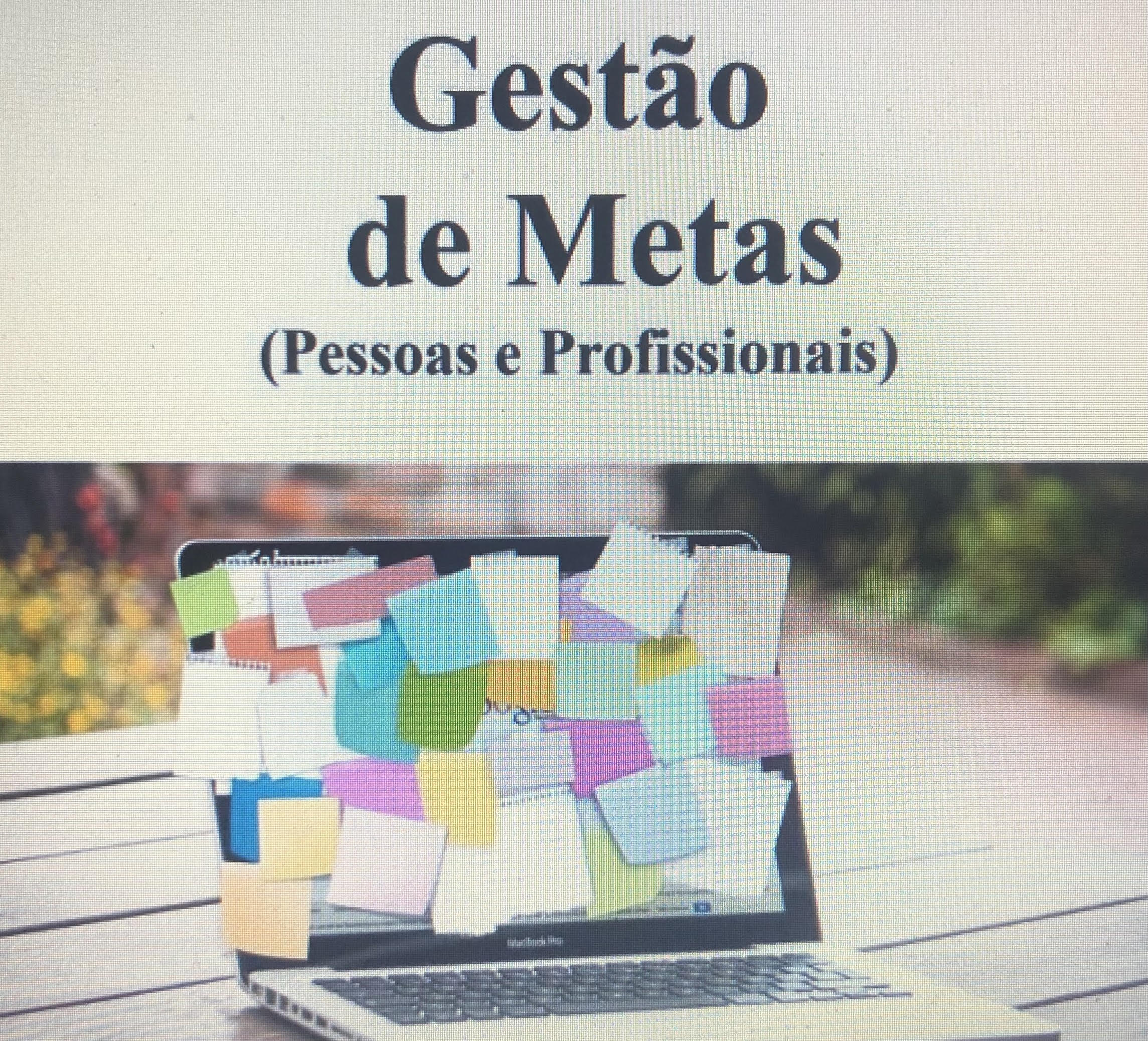 CURSO PLANO DE GESTÃO DE METAS - Márcia Valéria Marconi | Hotmart
