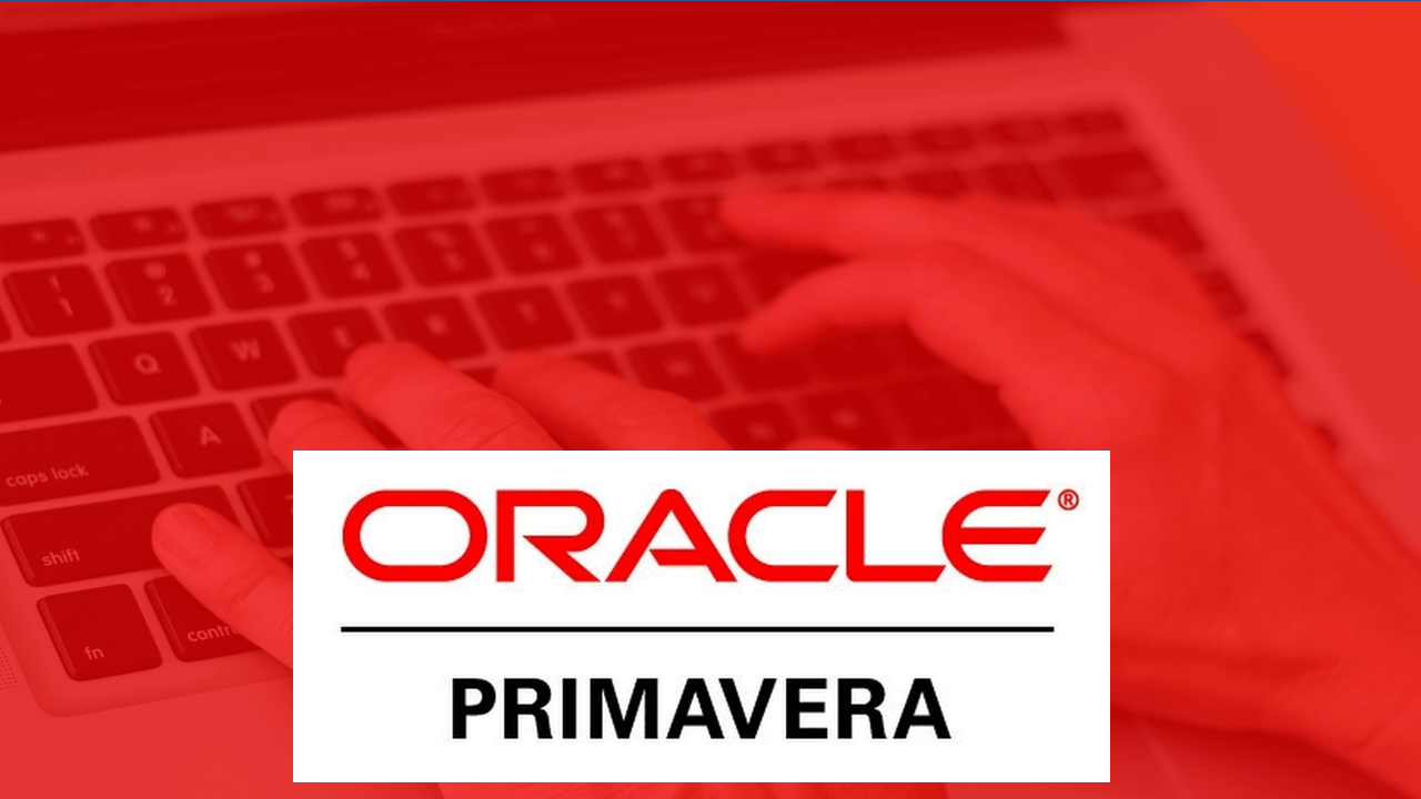 Curso Online Primavera P6 Magistral