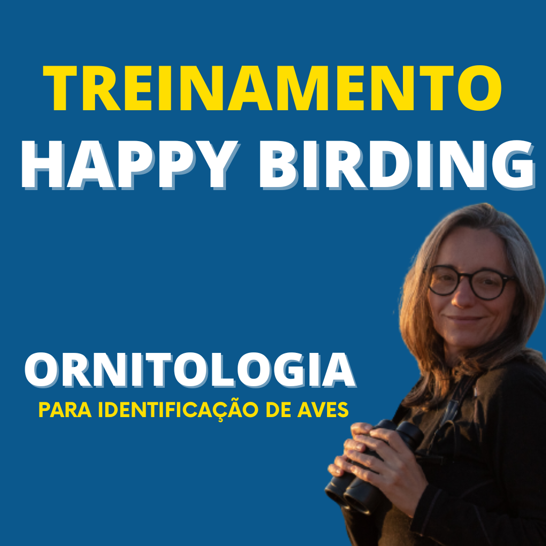ORNITOLOGIA PARA IDENTIFICAR AVES - TREINAMENTO HAPPY BIRDING - THB...