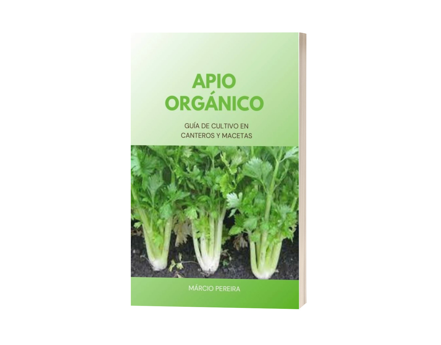 Apio Orgánico
