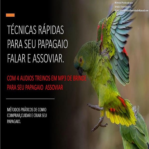 Técnicas Rápidas para seu PAPAGAIO falar e assoviar.
