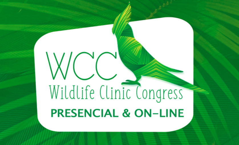 IV WCC - INGRESSO PRESENCIAL FULL EVENT