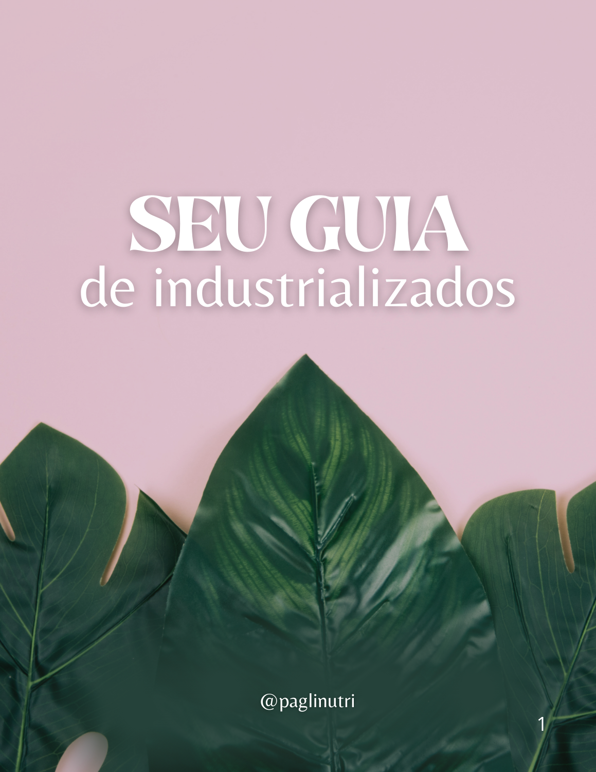 Guia de Industrializados - Marcela Bruno Zamboni Pagliari | Hotmart