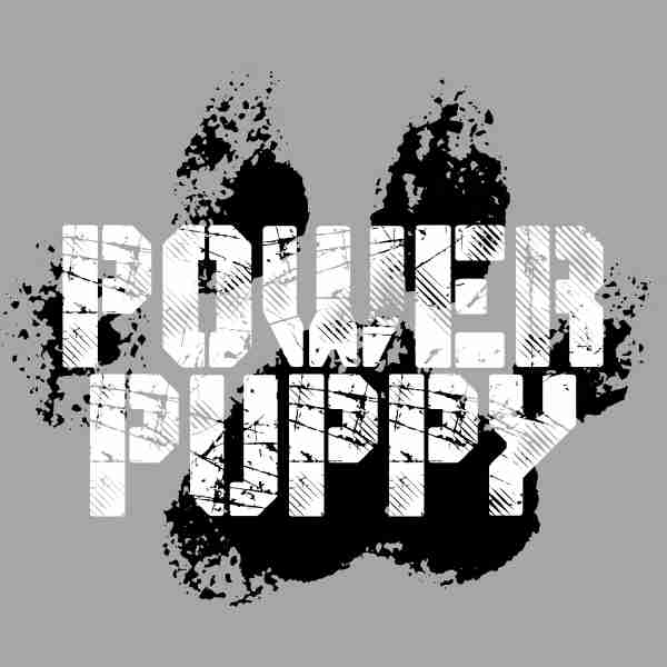 Power Puppy | Anderson Wollmann - Marcio Cerqueira | Hotmart