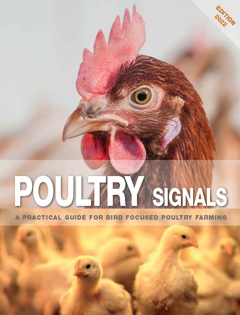 Poultry Signals (English edition) A practical guide for poultry ...