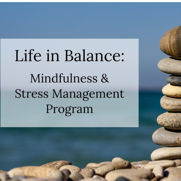 Stress Management & Mindfulness Online Course: A Practical Guide to a ...
