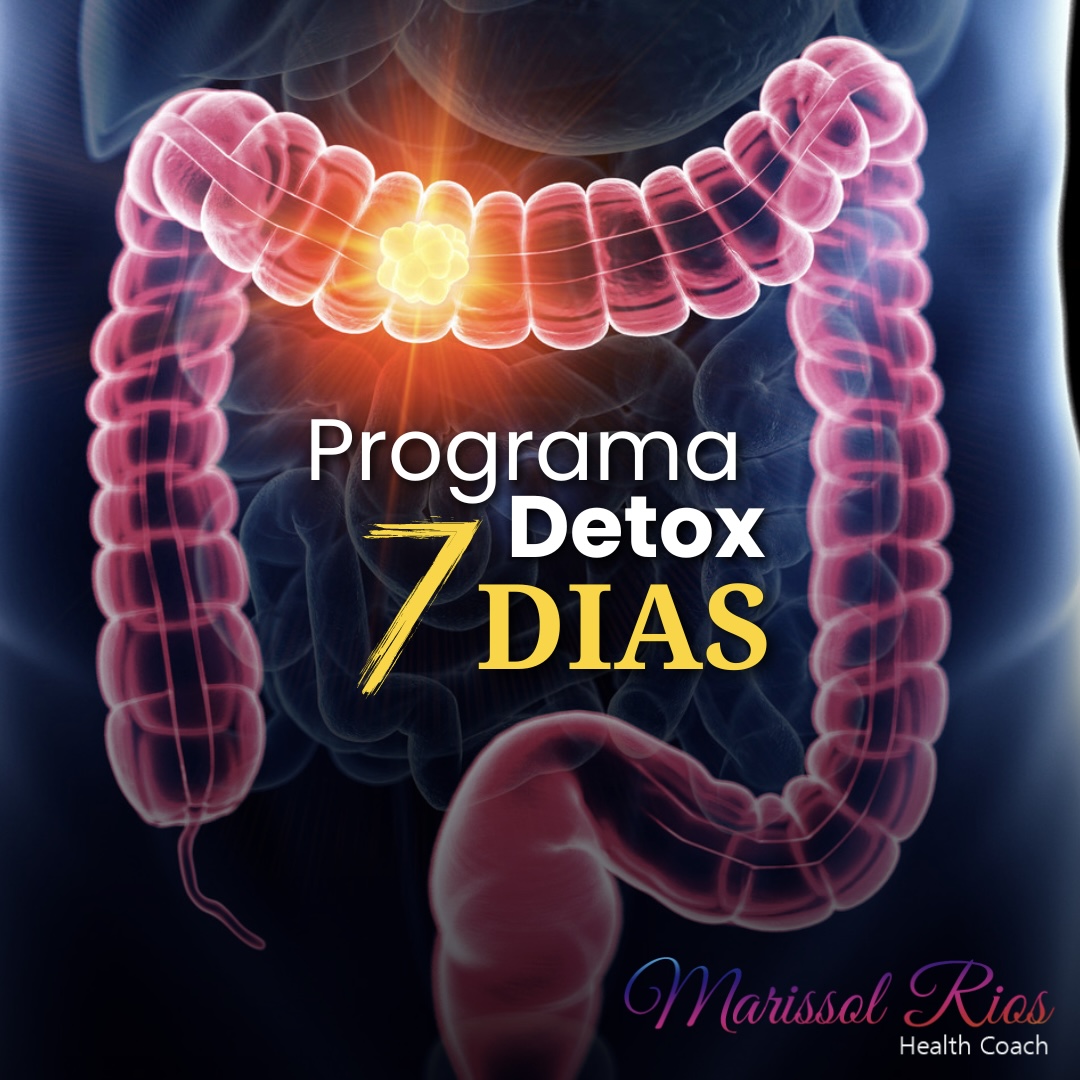 Protocolo Detox 7 dias - Marissol | Hotmart