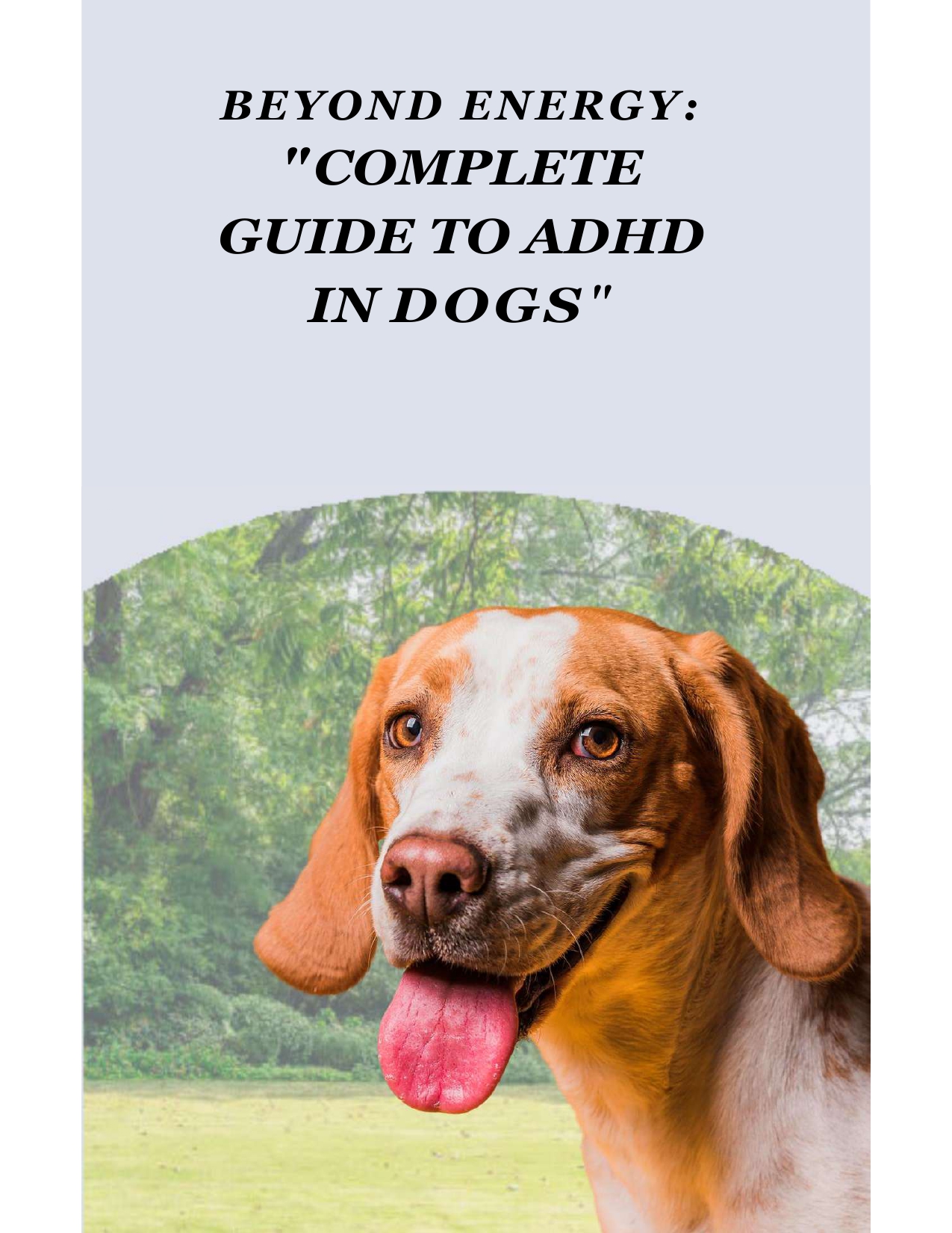 COMPLETE GUIDE TO ADHD IN DOGS | Hotmart