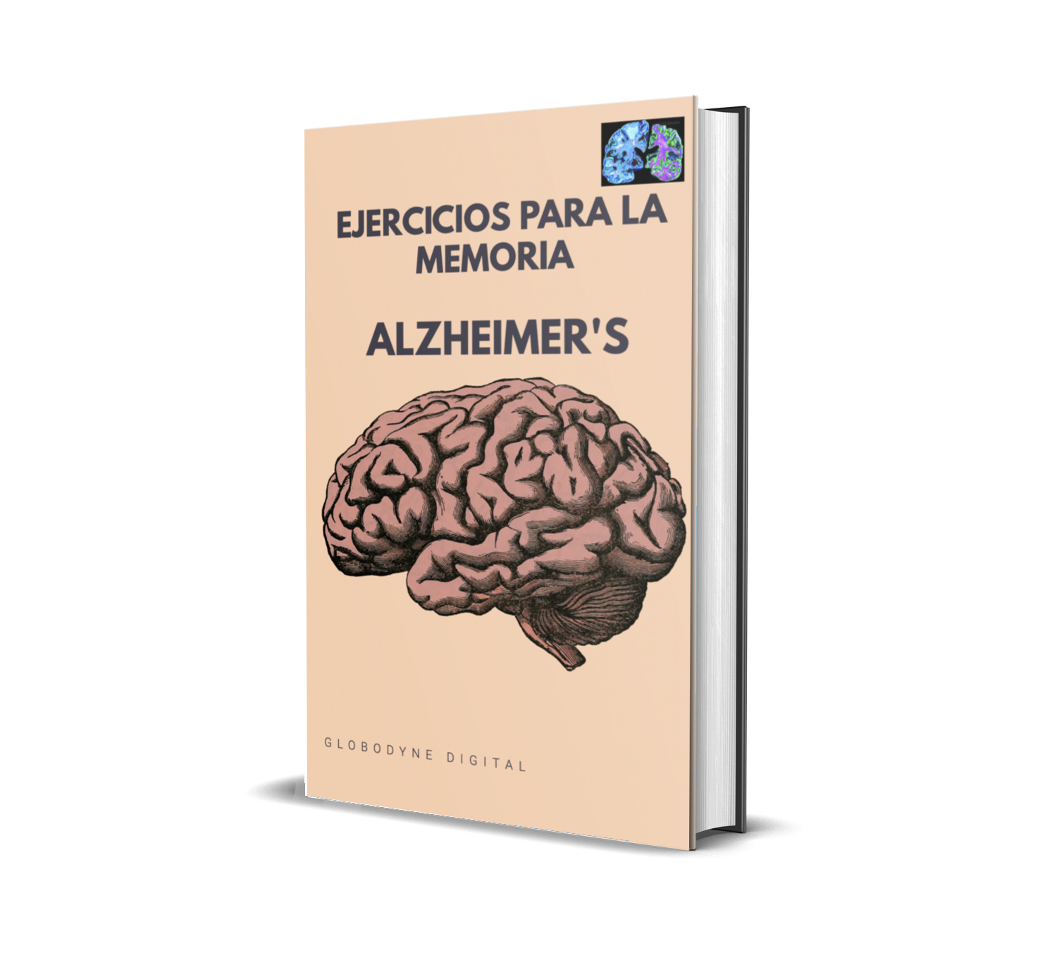 EJERCICIOS PARA ENTRENAR MEMORIA / ALZHEIMER / USO PRACTICO