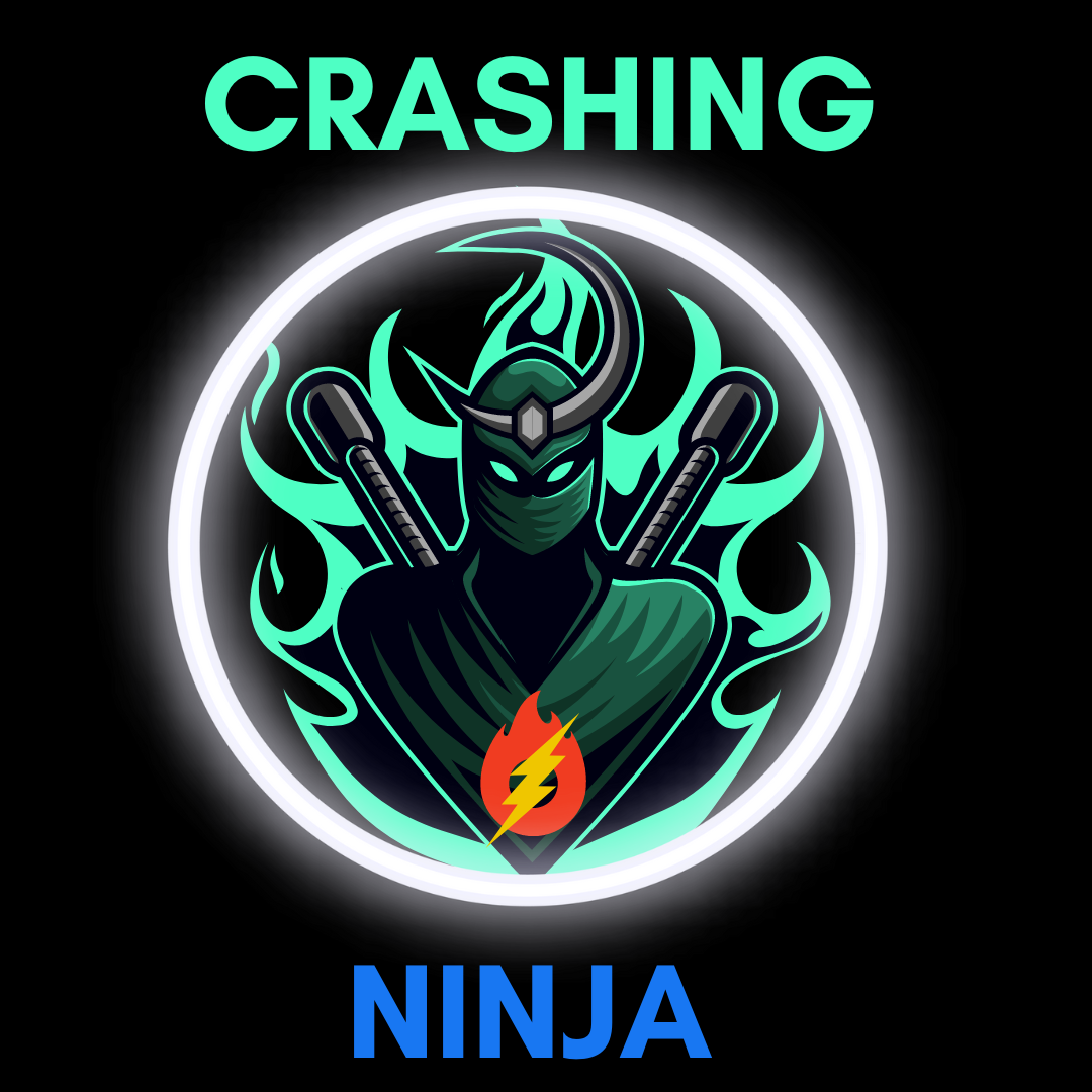 CRASHING NINJA MENTORING