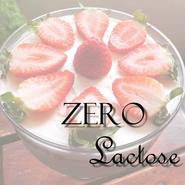 Vida sem lactose - Paula Trindade Lamego | Hotmart