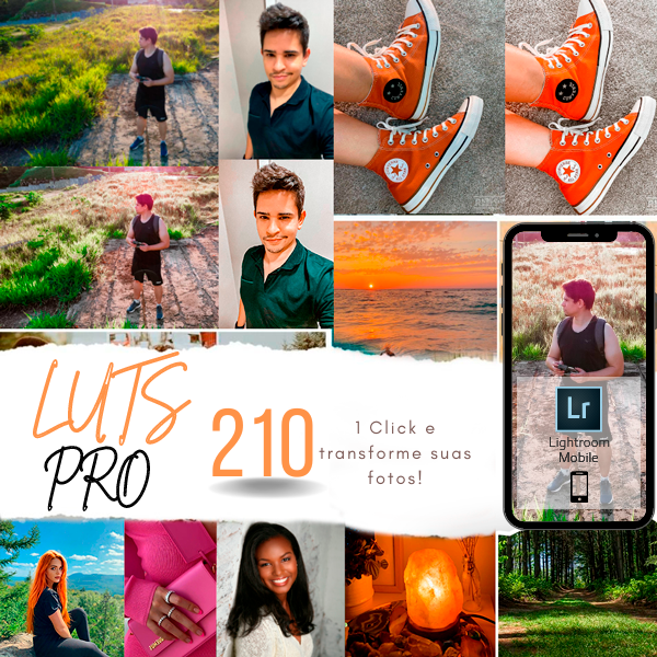 LUTS PRO 210