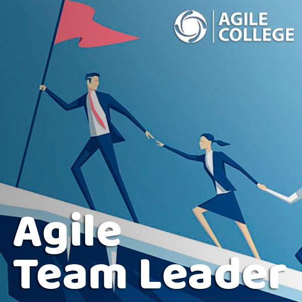 Agile Team Leader