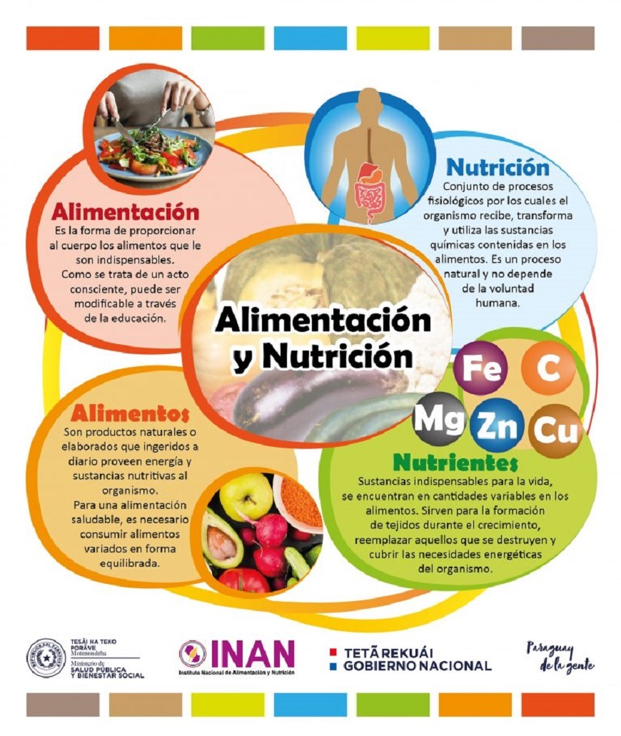 Una vida fitness de acuerdo a la nutricion - Rodrigo rios | Hotmart