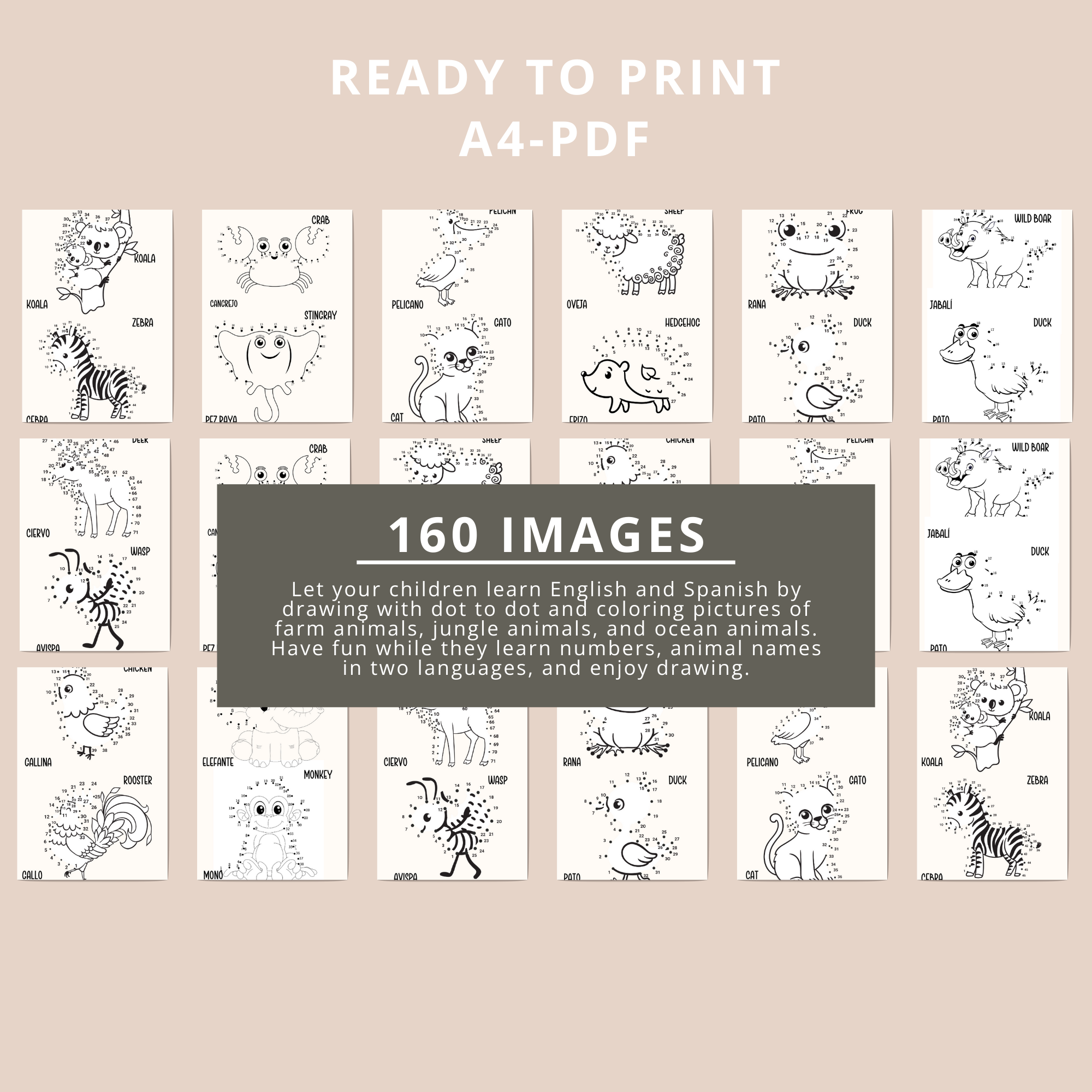 Animals Dot to Dot Page for Kids, English and Spanish Coloring Book ...