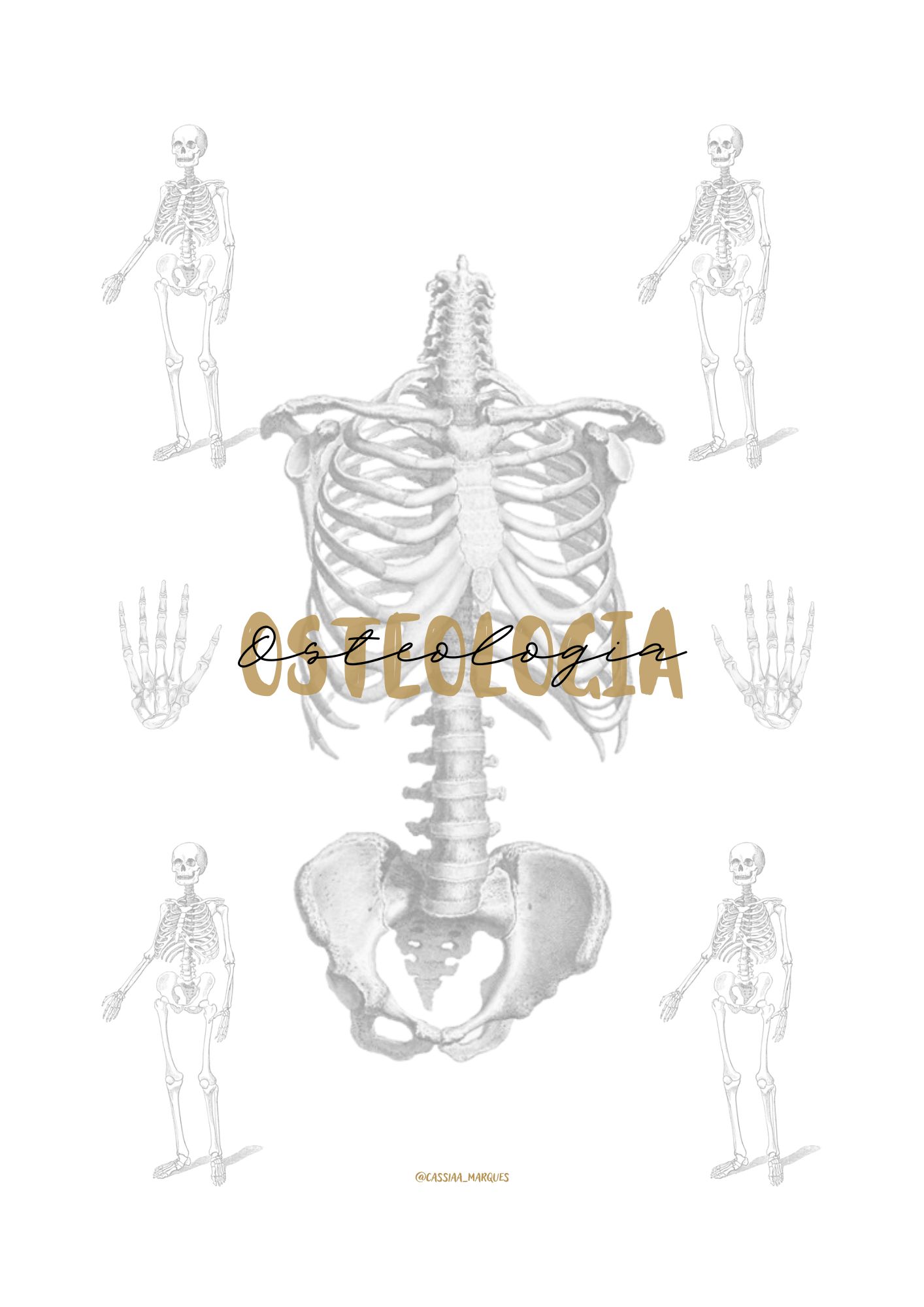 RESUMO OSTEOLOGIA - Cássia Marques | Hotmart