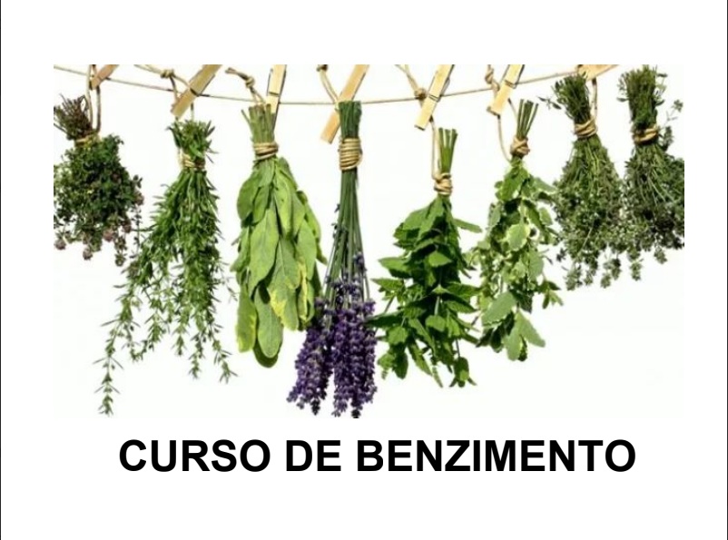 CURSO DE BENZIMENTO - Rejane Maria Mizerkowski | Hotmart