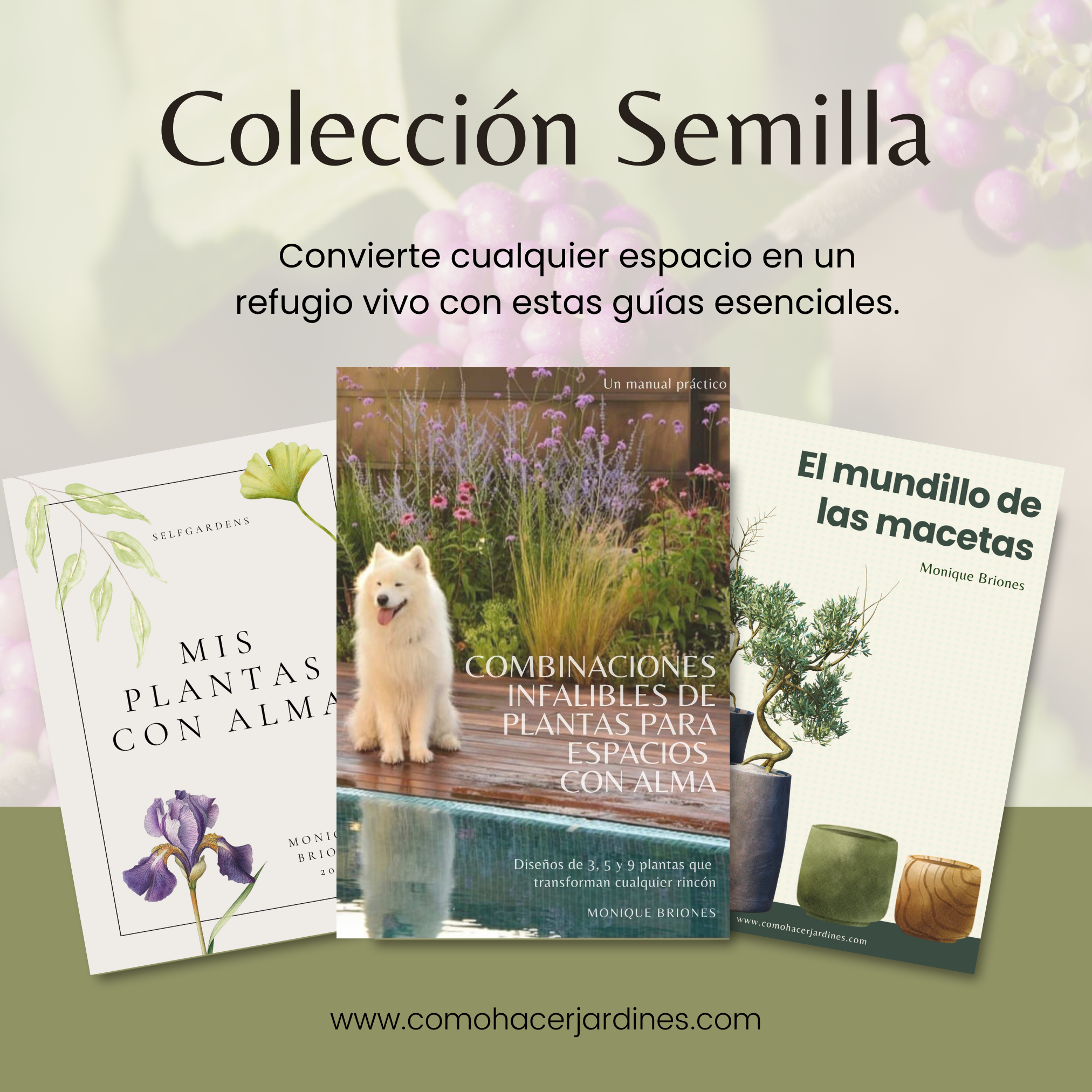 COLECCIÓN SEMILLA – Tu primer rincón verde con alma Para cualquier espacio, con o sin jardín