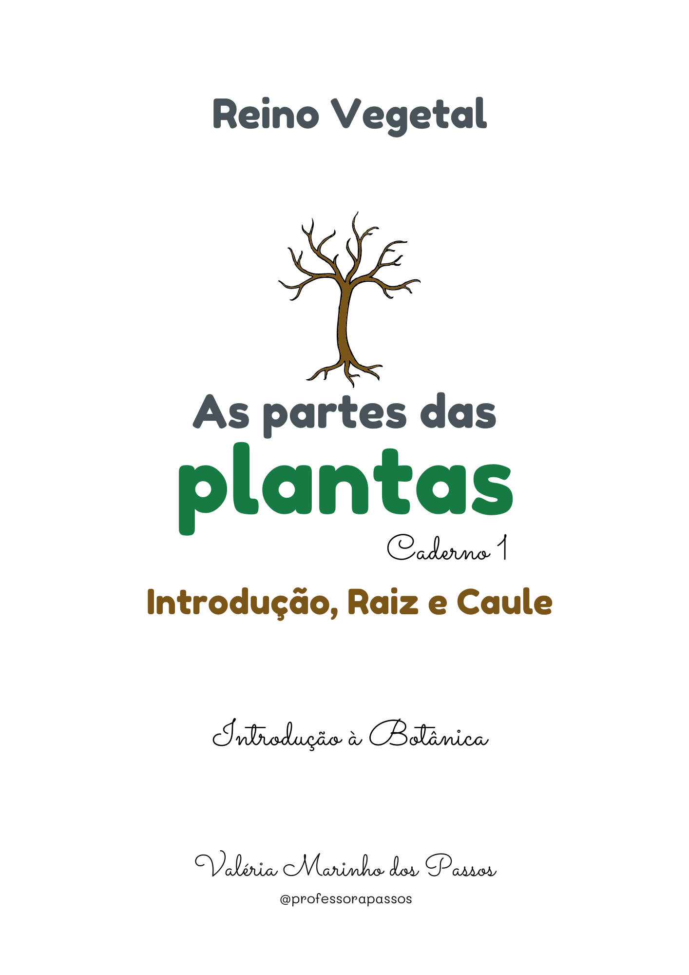As Partes das Plantas: Introdução, Raiz e Caule. - Professora Passo...