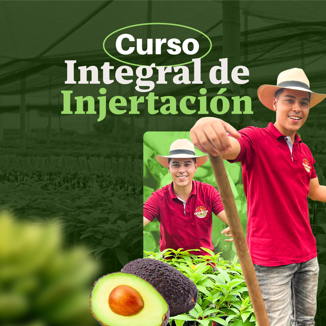 CURSO INTEGRAL DE INJERTACION