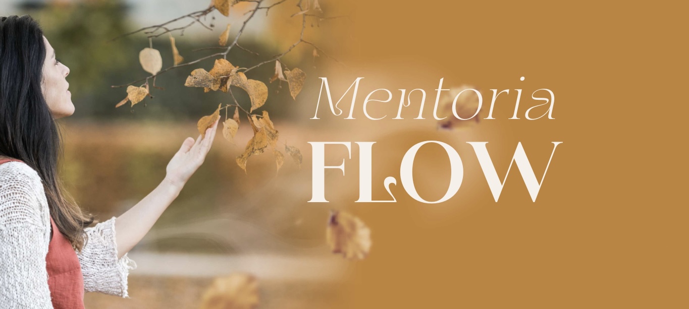 Mentoria Flow - Fernanda Da Silva Feijó | Hotmart